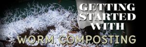 Getting Started with Worm Composting – Worm Composting Headquarters