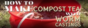 How to Make Compost Tea with Worm Castings – Worm Composting Headquarters