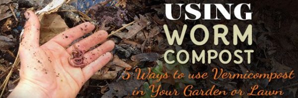 Using Worm Compost – Worm Composting Headquarters