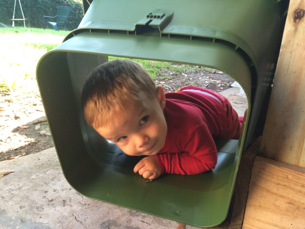 "Hungry Bin" Worm Bin Review – Worm Composting Headquarters